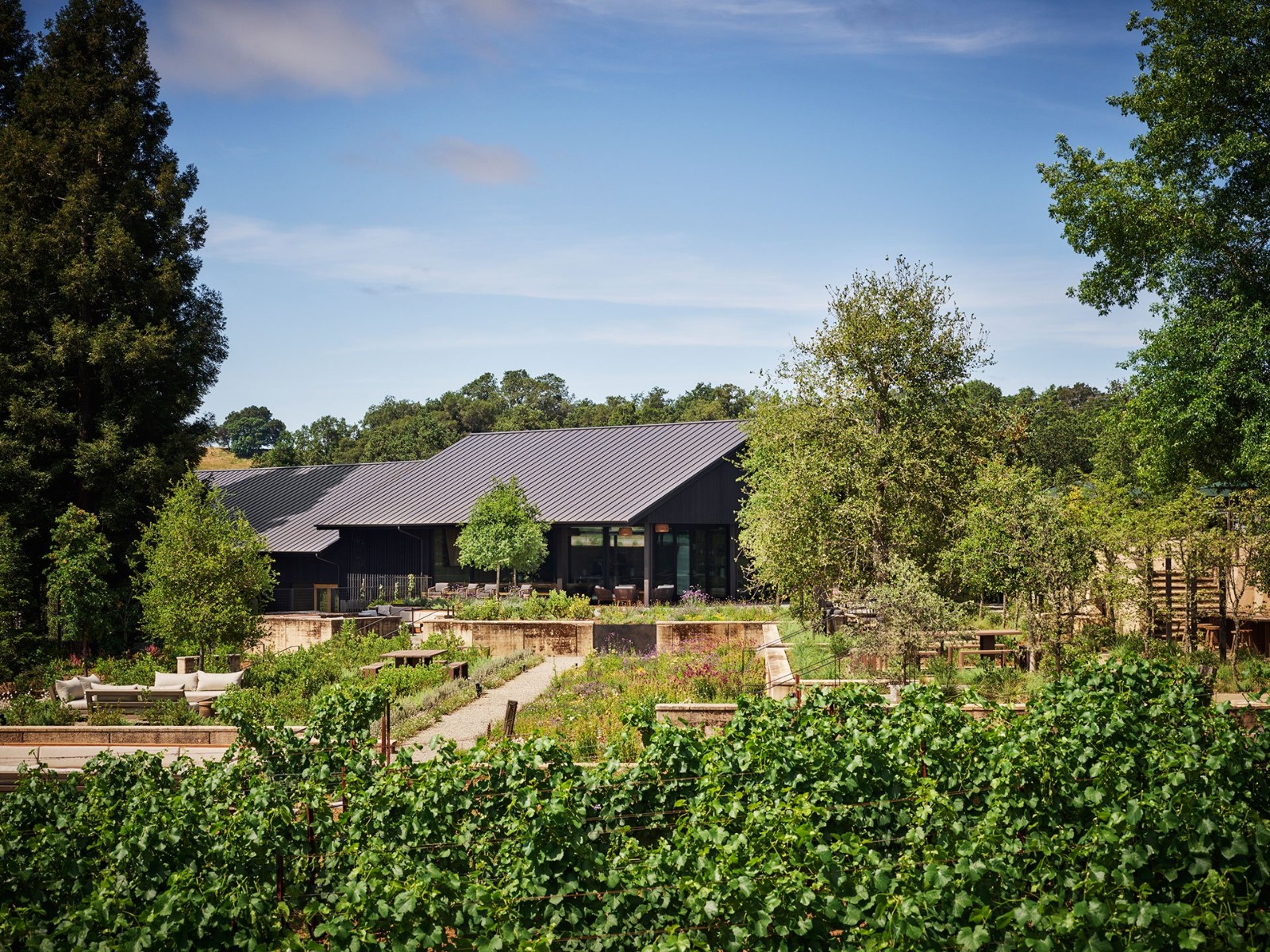 maca huneeus | 坐落于加利福尼亚的酒店-建E网设计案例