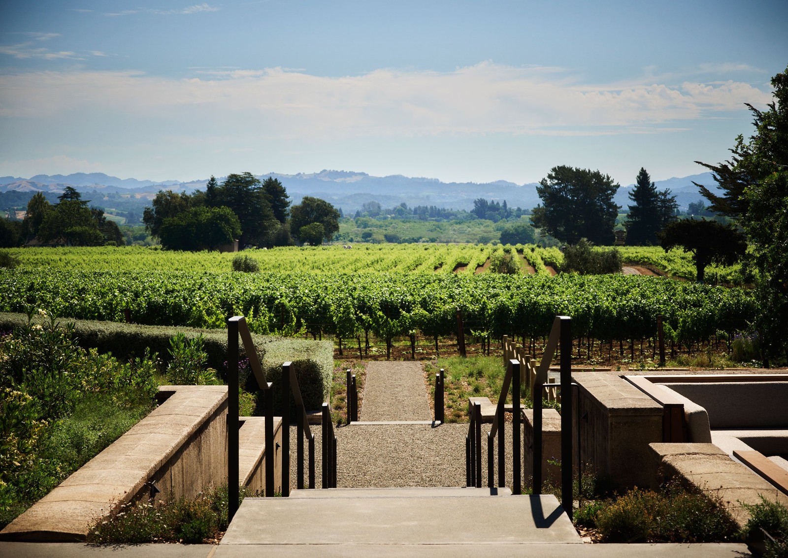 maca huneeus | 坐落于加利福尼亚的酒店-设计案例-建E室内设计网