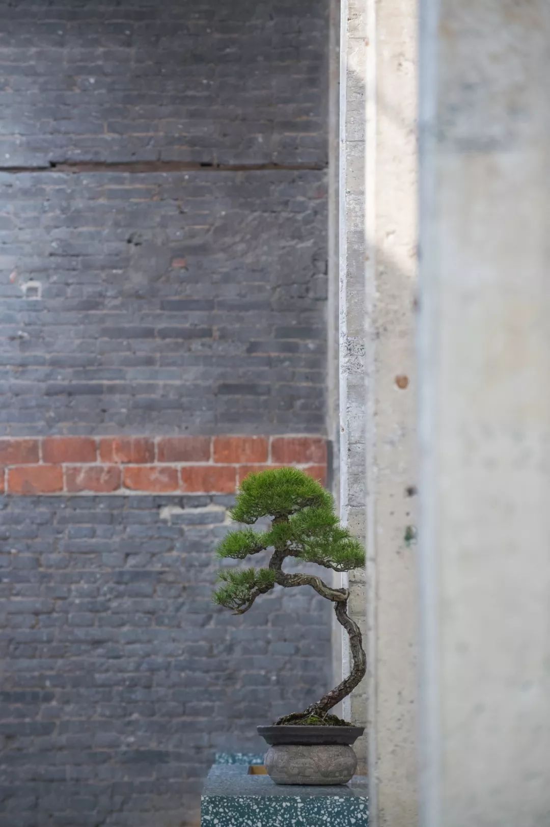 上海廷泰茶空间 | Alex Mok & Briar Hickling-建e网设计案例