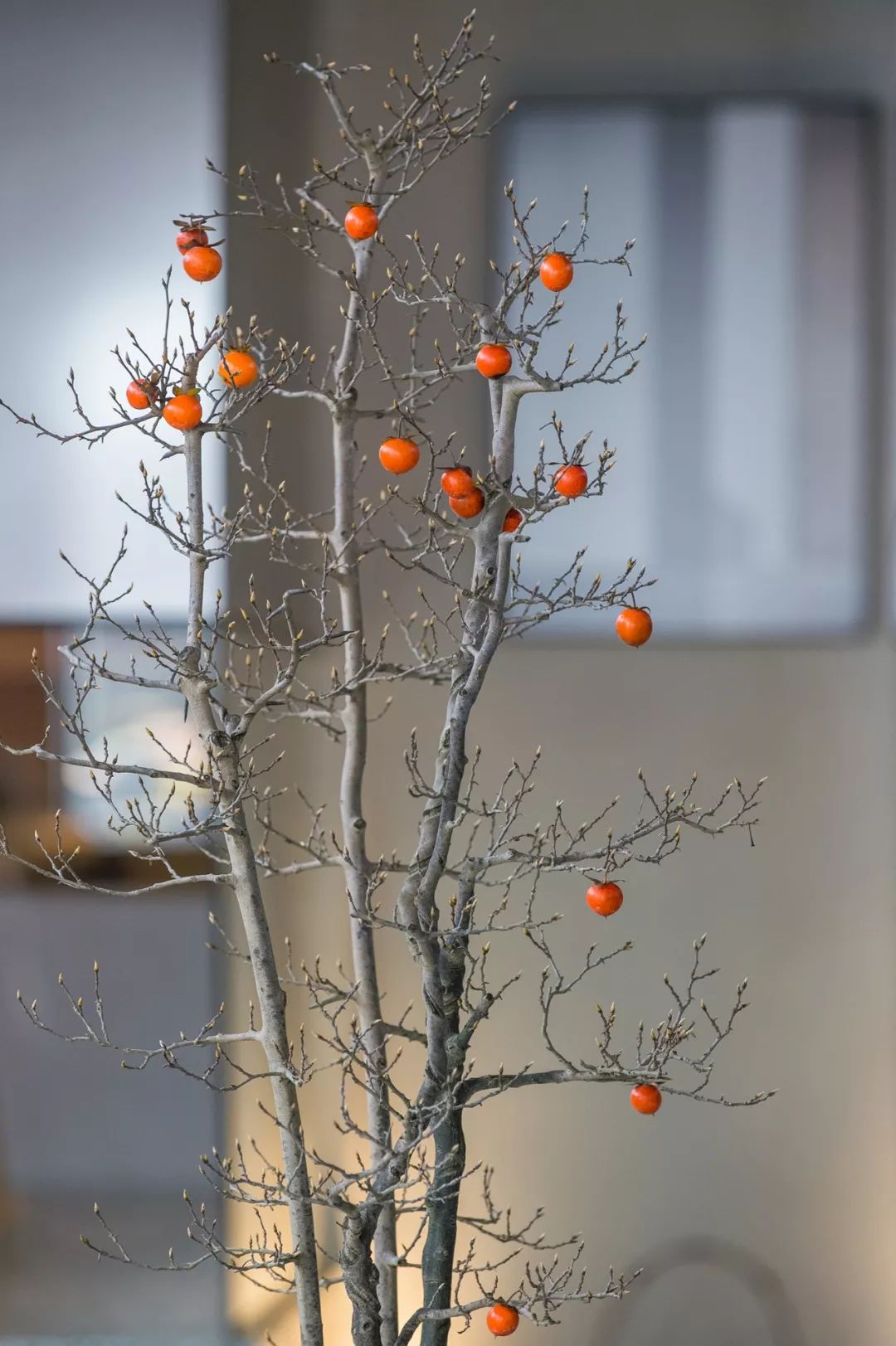 上海廷泰茶空间 | Alex Mok & Briar Hickling-建e网设计案例