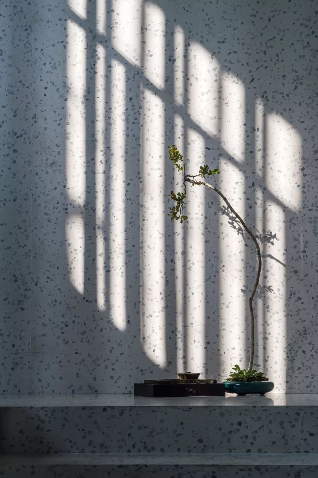 上海廷泰茶空间 | Alex Mok & Briar Hickling-建e网设计案例